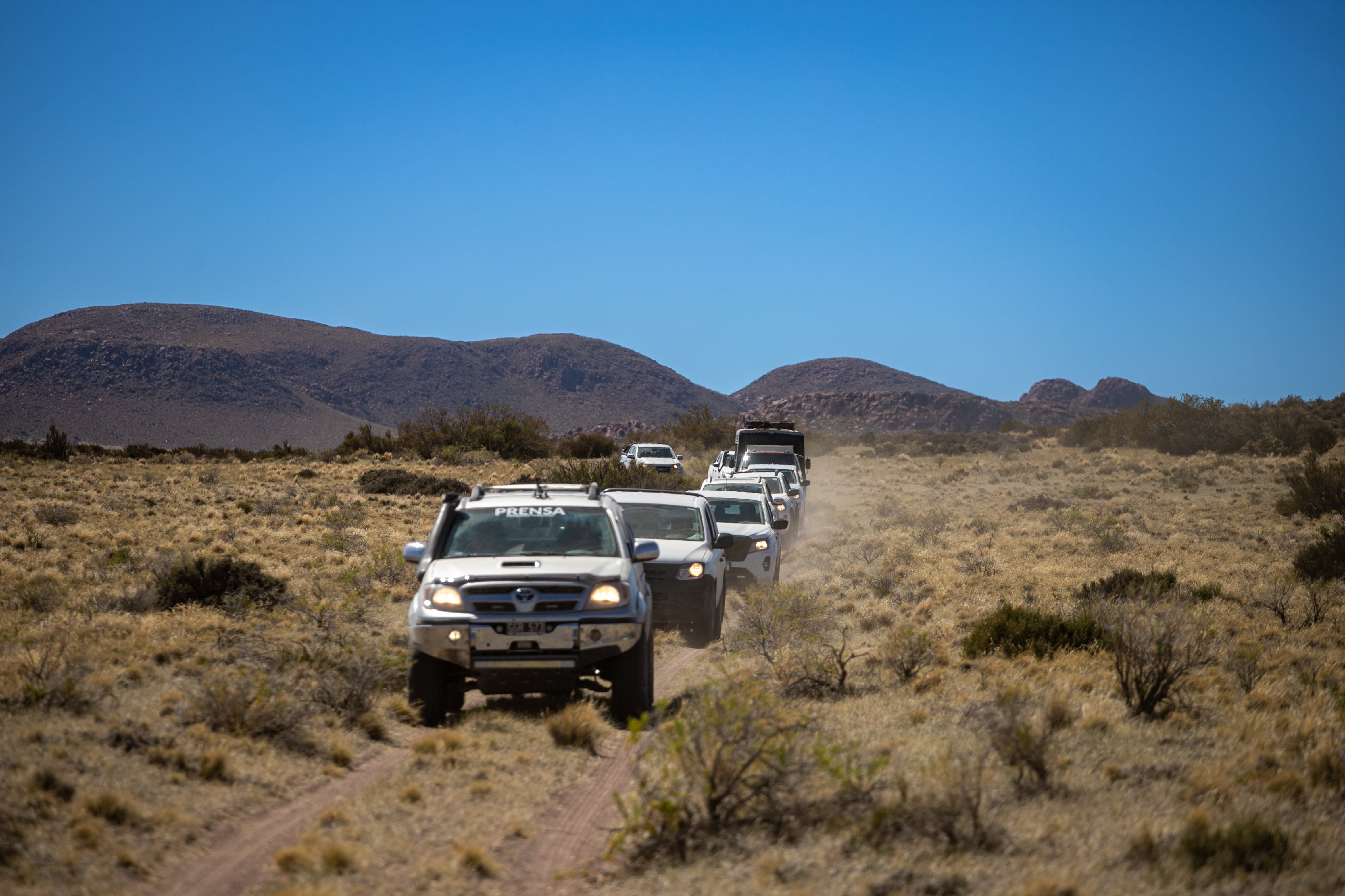 La Payunia profunda: así es el “safari cuyano” que proyectan para abrir ...