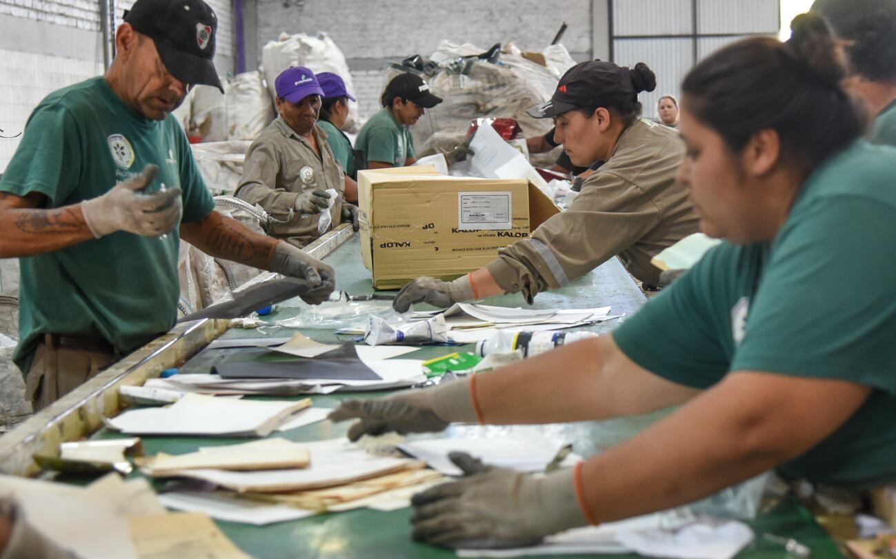 Todo sobre el reciclaje del cartón para seguir cuidando el ambiente