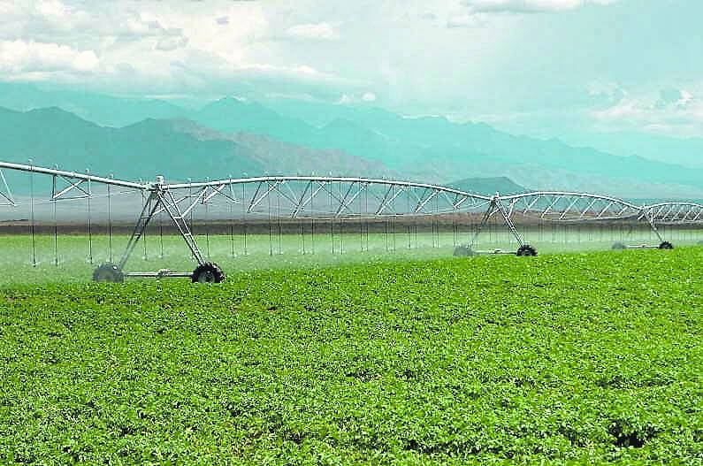 Simplot proyecta ampliar su producción en Mendoza