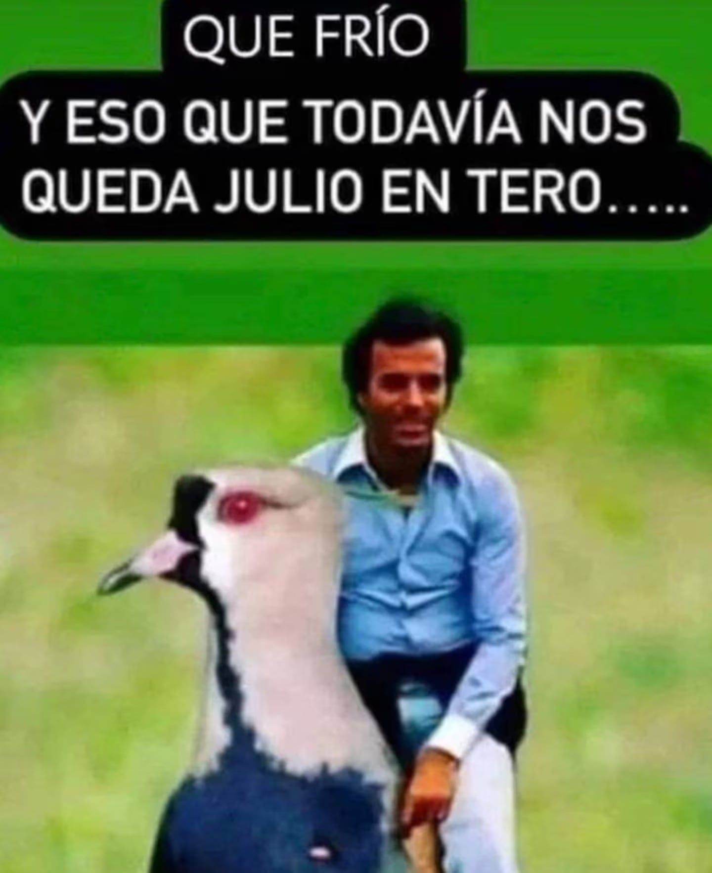 A dos días de la ola viral, llegaron los primeros memes de “Julio” para ...