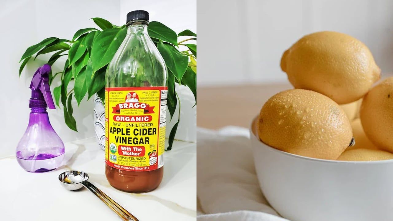 Cinco trucos caseros para acabar con la invasión de mosquitos