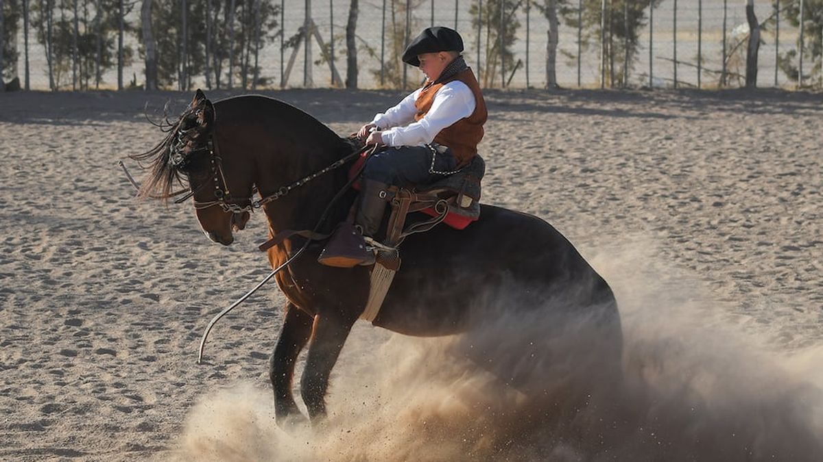 Dimas, el gauchito mendocino que logró el subcampeonato nacional de una ...