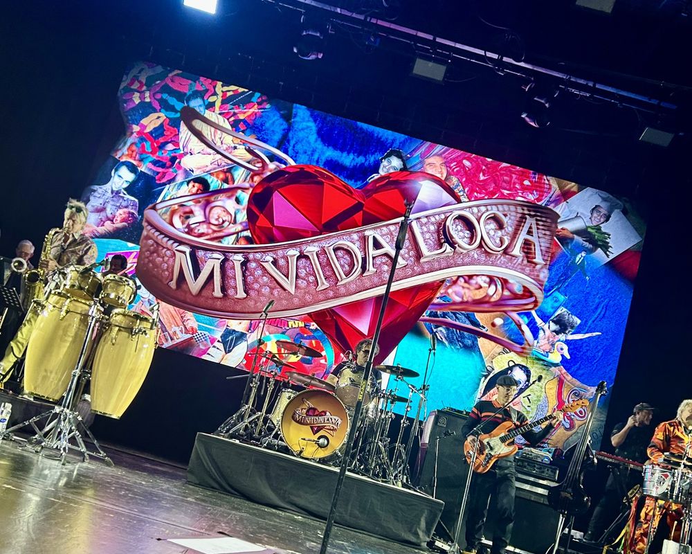 Los Auténticos Decadentes en Mendoza: un show con groove festivo y coro ...