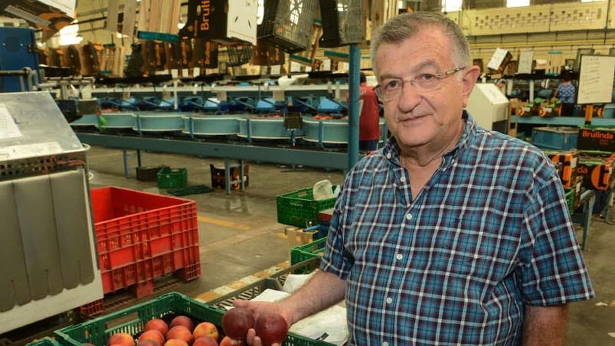 Daniel Brunetti: “Hay una gran crisis y la actividad frutícola está ...