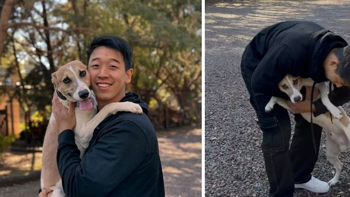 El emotivo reencuentro entre Martín Ku y su perro Arturo tras su salida ...