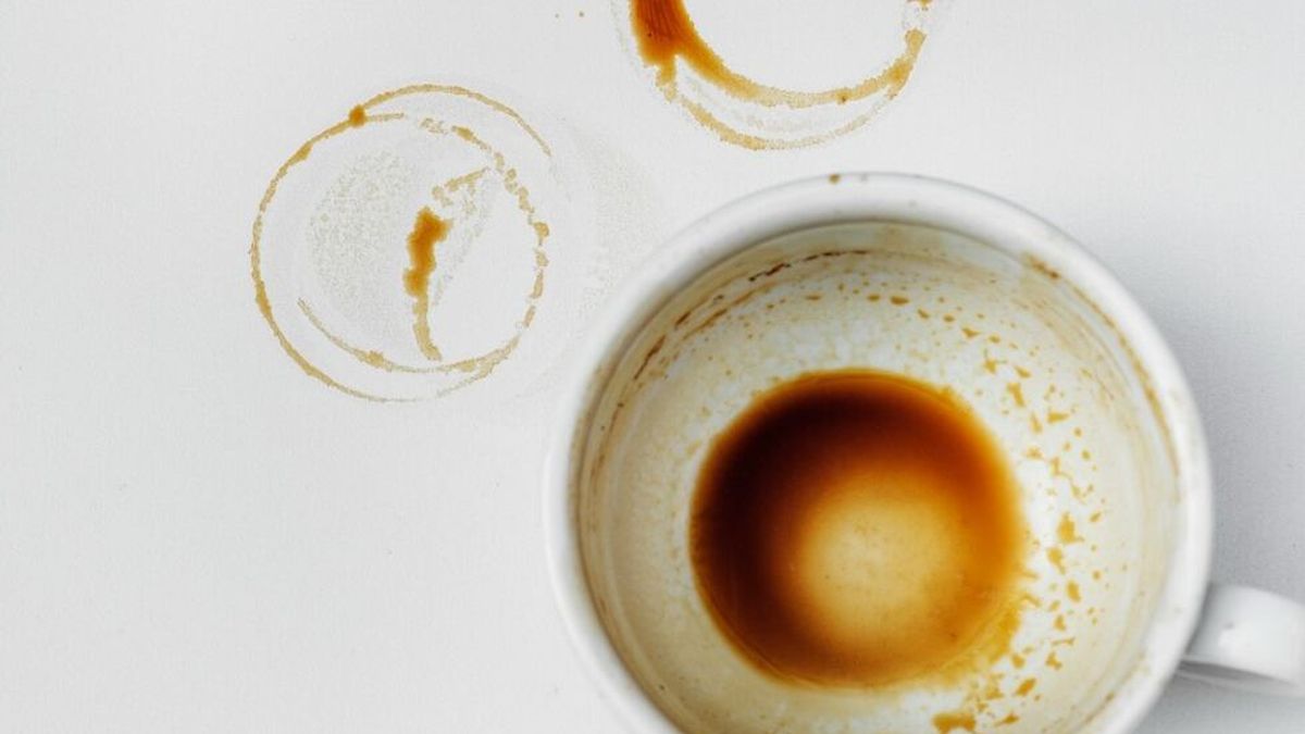 Cómo limpiar las manchas de café de tus tazas favoritas con solo 1 ...