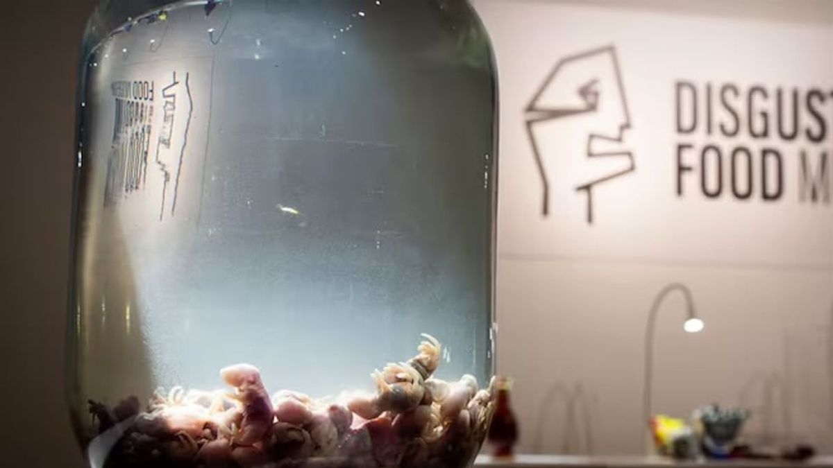 El curioso museo de Berlín que invita a reflexionar acerca de la ...
