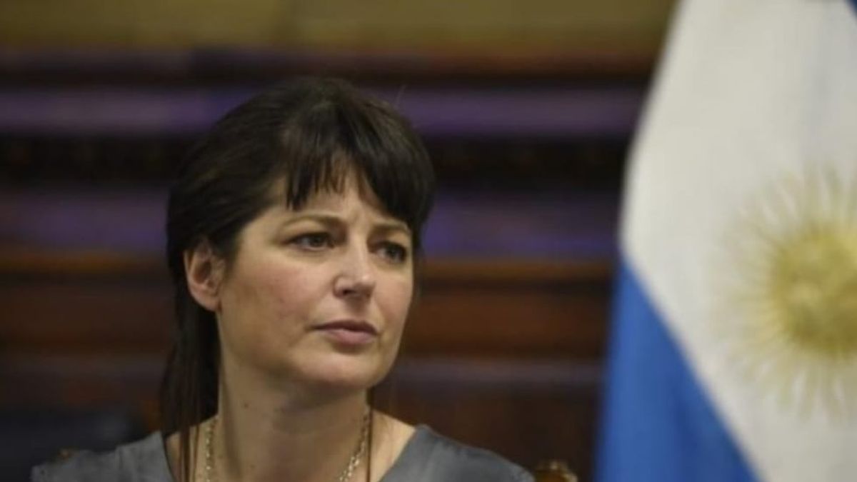 La fuerte reacción de una diputada kirchnerista en la bicameral del DNU: “¡Déjense de hacer los ...