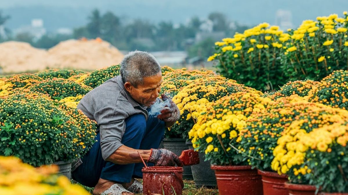 6 plantas permanentes para plantar en septiembre y disfrutar de una ...