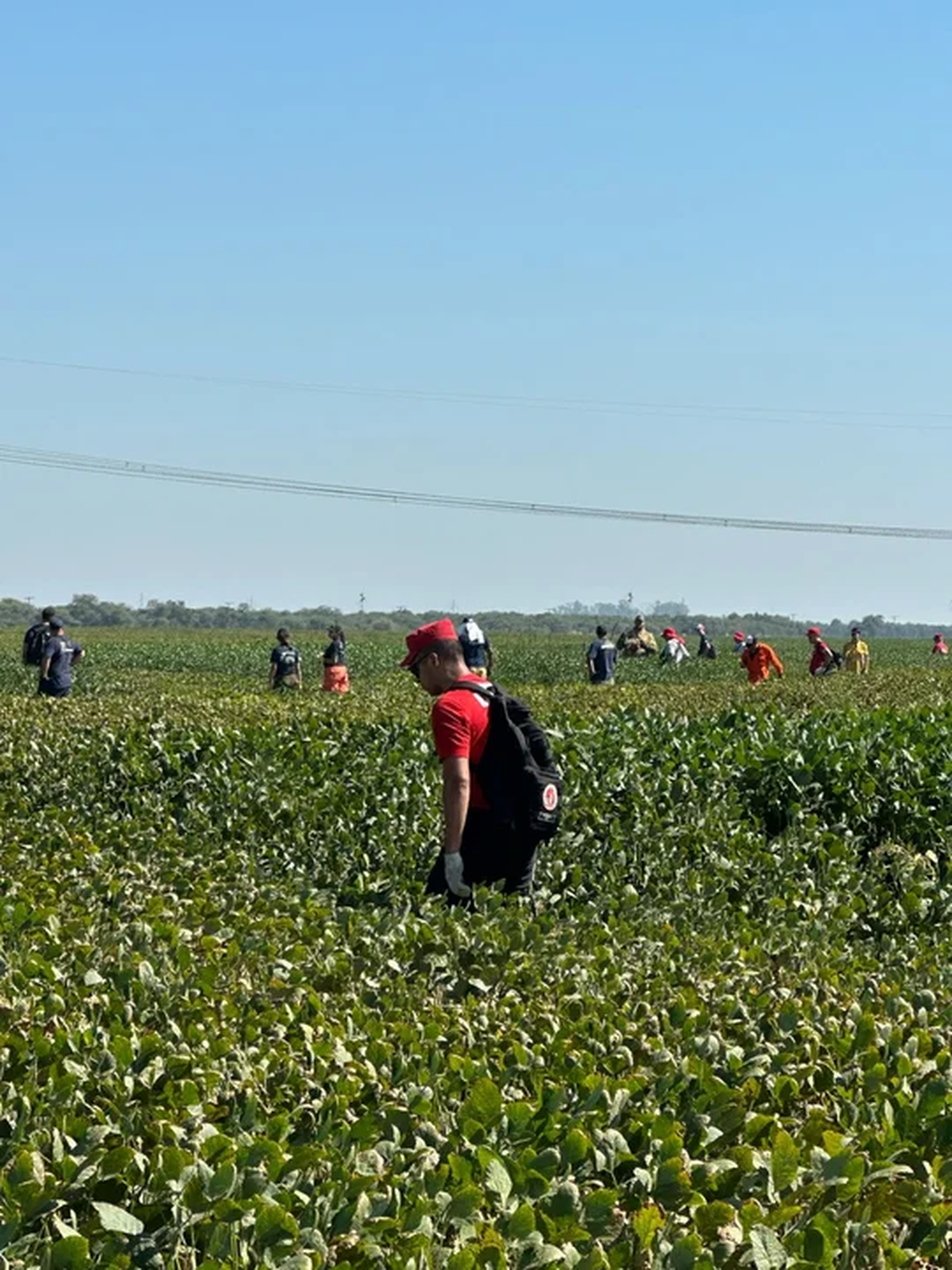 Búsqueda de Lian en Córdoba: cuál es la hipótesis que toma fuerza