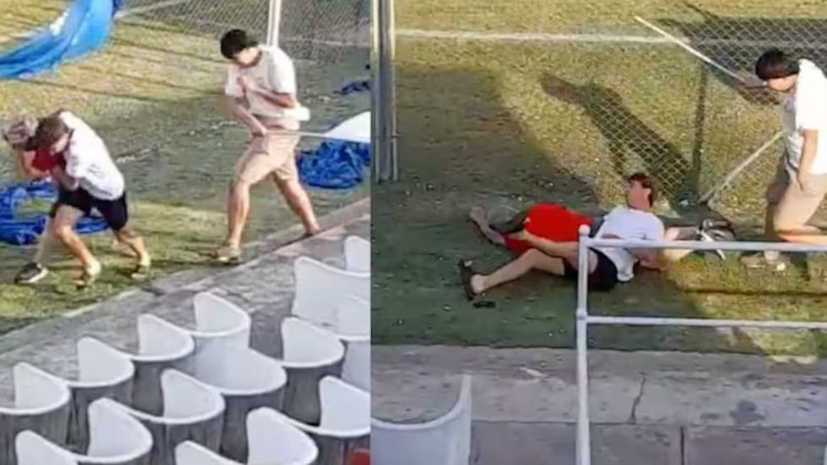 Una invasión de abejas irrumpió un partido de fútbol en Córdoba y ocho ...