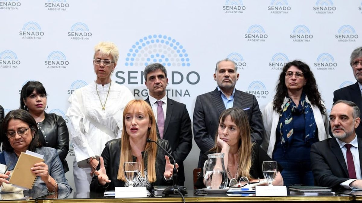 El kirchnerismo propone un “test antidóping” de drogas para los ...