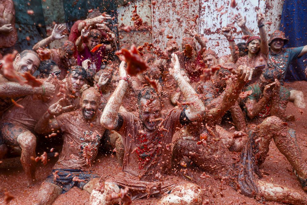 Miles de personas participaron de la lluvia de tomates en la Tomatina ...