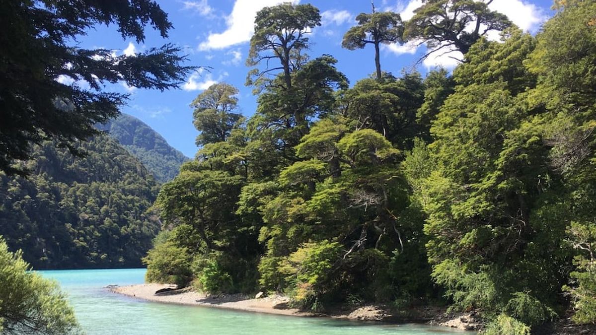 Puerto Blest: el increíble paso a Chile por lagos multicolores en medio ...