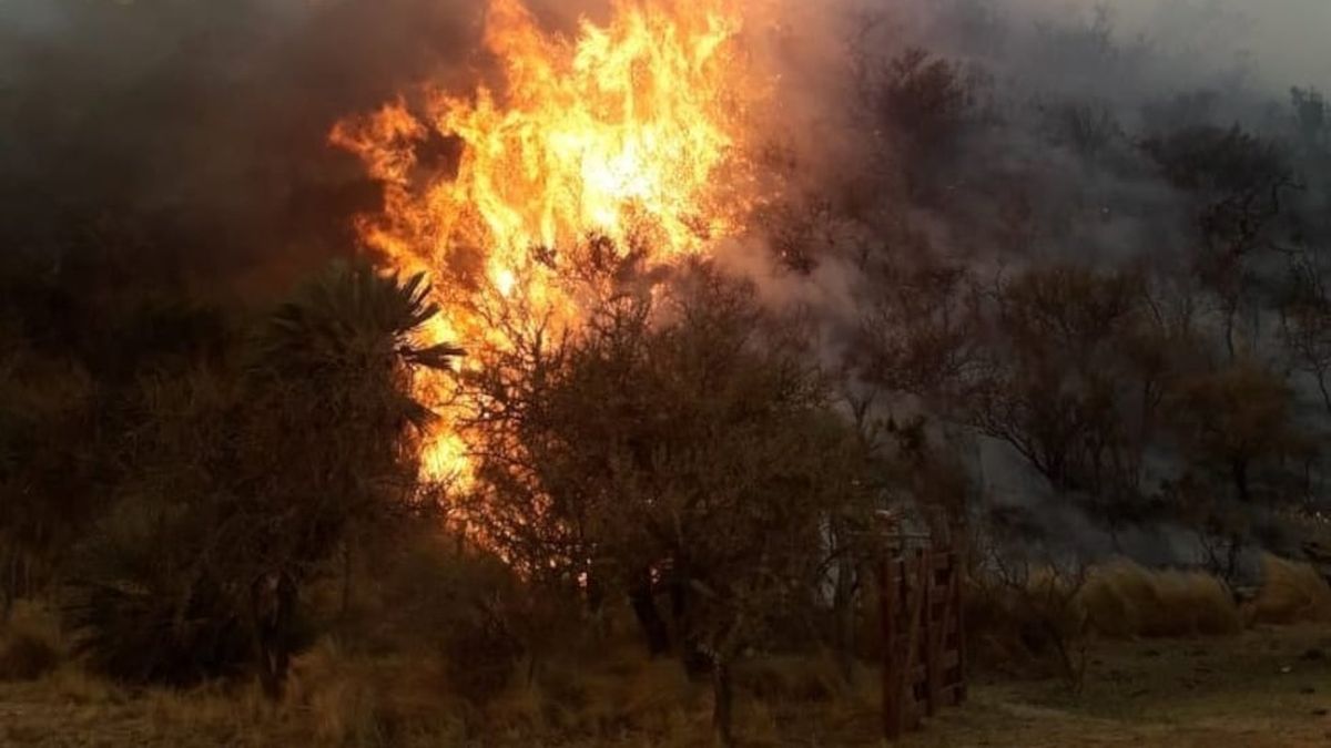 Reinició el fuego y ahora trabajan en Papagayos