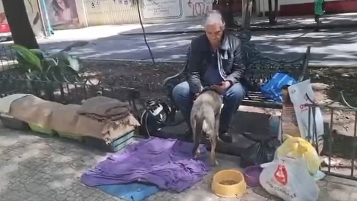 Fue una estrella de telenovelas, pero ahora vive en la calle: la vida ...