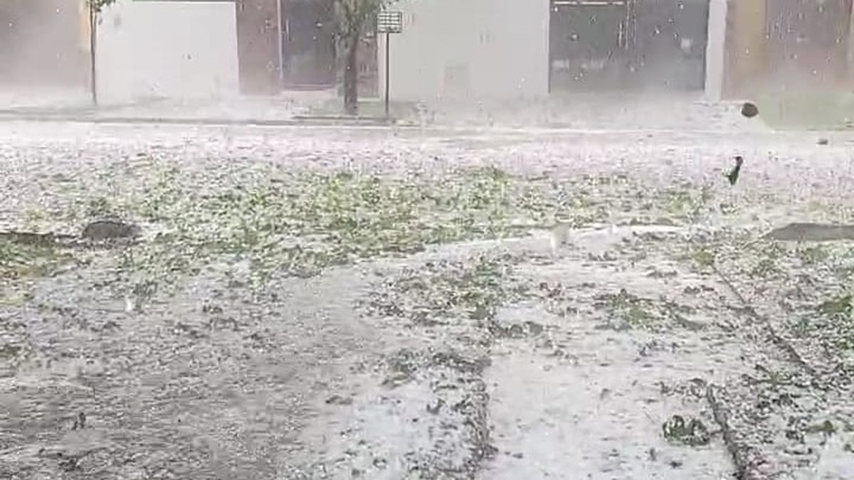 Fuerte tormenta con lluvia, viento y granizo afectó a Santa Rosa y ...