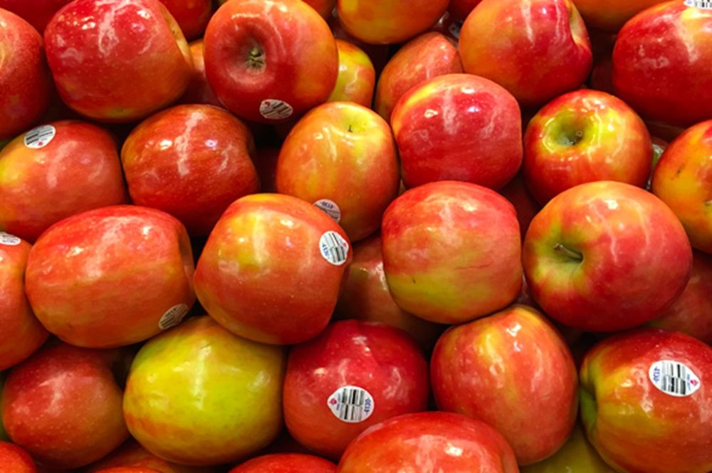 Más que un sticker: qué significan los colores y códigos de las ...