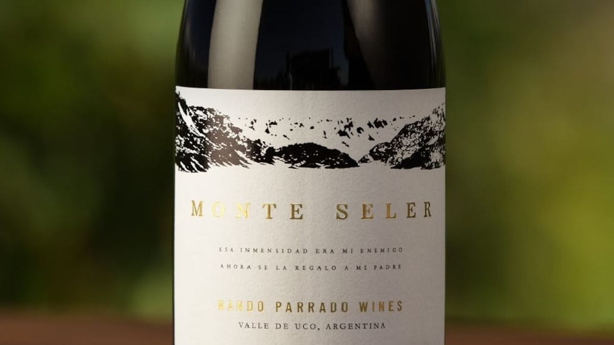 Un sobreviviente del “Milagro de Los Andes” creó un vino en Mendoza ...