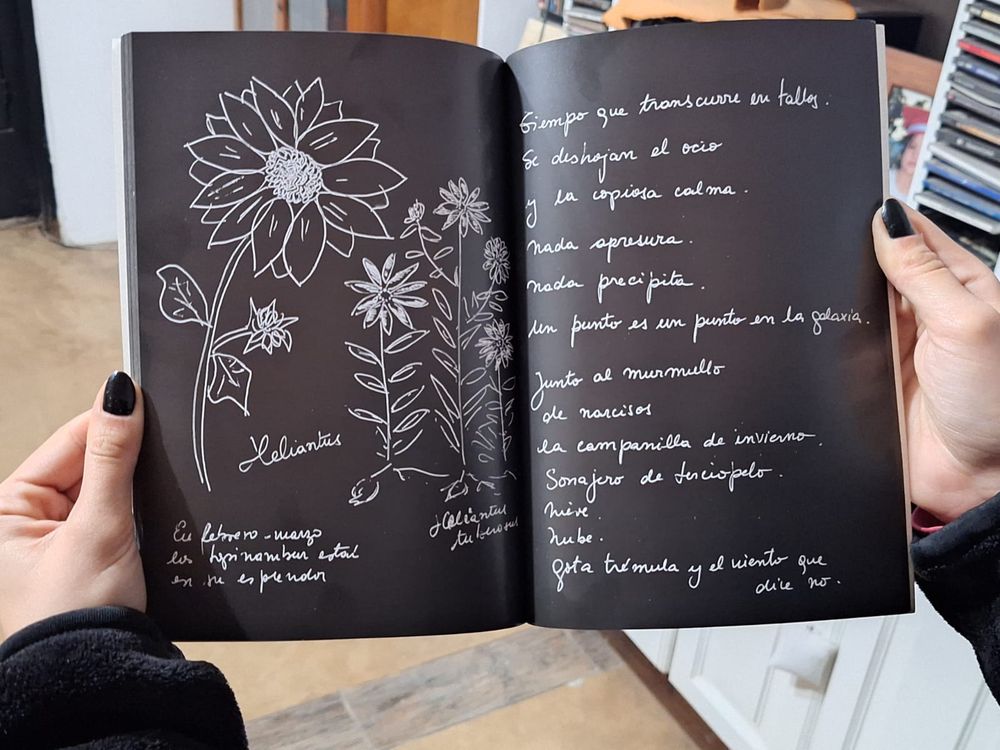 Claudia Bertini: la poeta mendocina que publica un libro de puño y ...