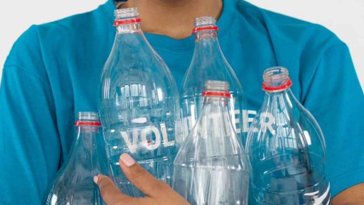 Ni florero ni maceta: dos formas de aprovechar las botellas ...