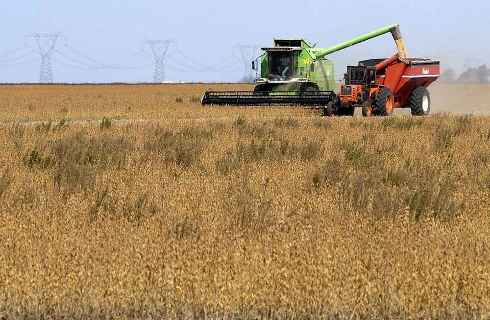 Las exportaciones agroindustriales alcanzaron un récord y superaron las ...