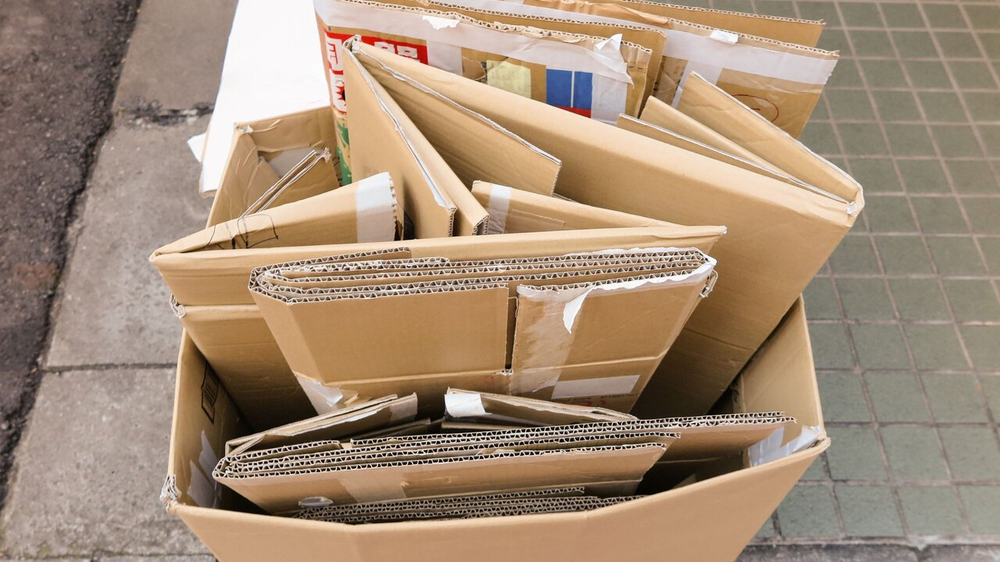 Solo con restos de cartón: cómo reciclar y renovar la decoración en casa