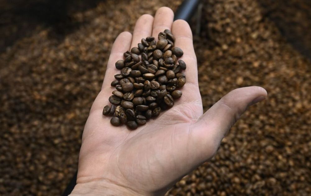 Lavarse las manos con café y azúcar: por qué se recomienda y para qué ...