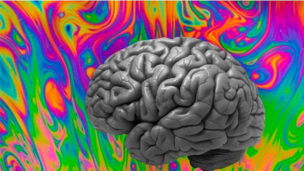 LSD: Por qué provoca conexión con el mundo espiritual y qué dicen los últimos avances de la ciencia