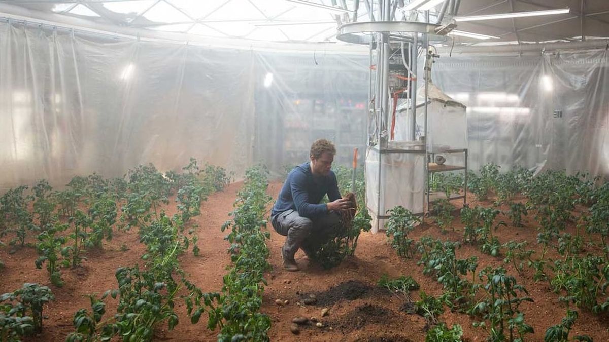 Los microbios son “buena gente”: cinco películas y series que lo demuestran