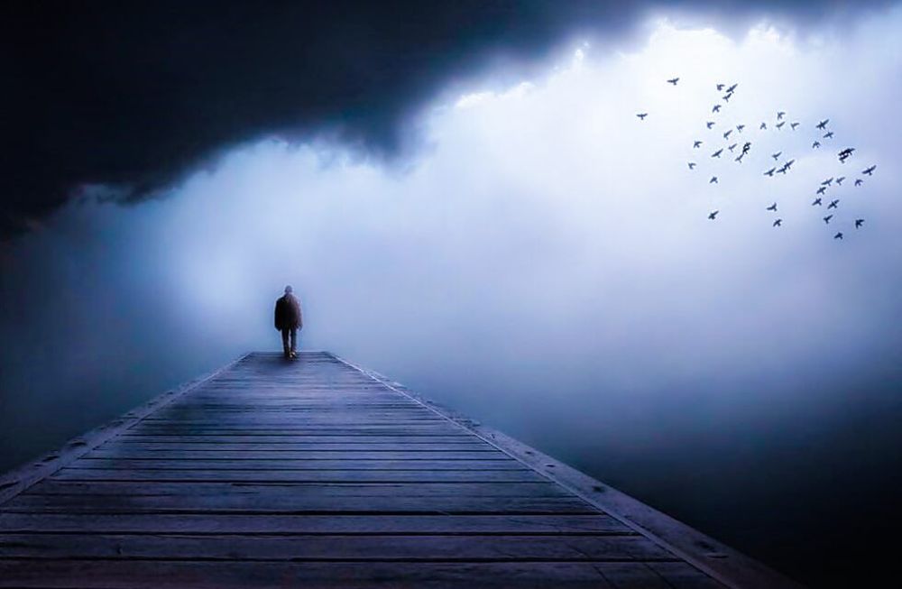 Alzar el vuelo - Por Rosa Montero