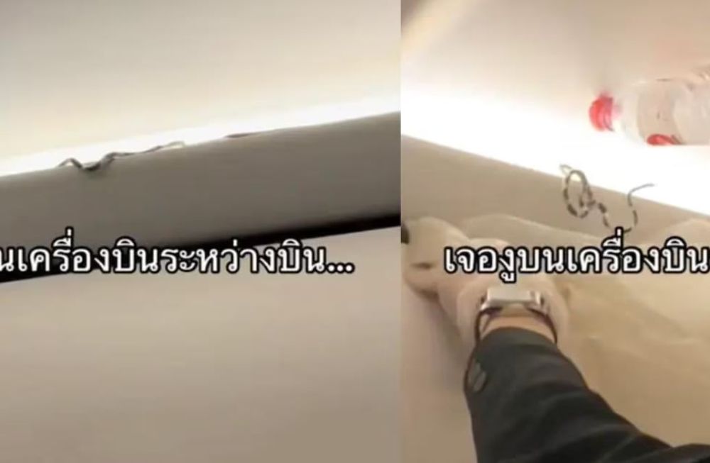 Video: así fue el inusual momento que se vivió en un vuelo cuando ...