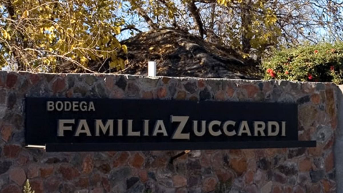 Familia Zuccardi ofrece empleo en Mendoza: cuáles son los requisitos y ...