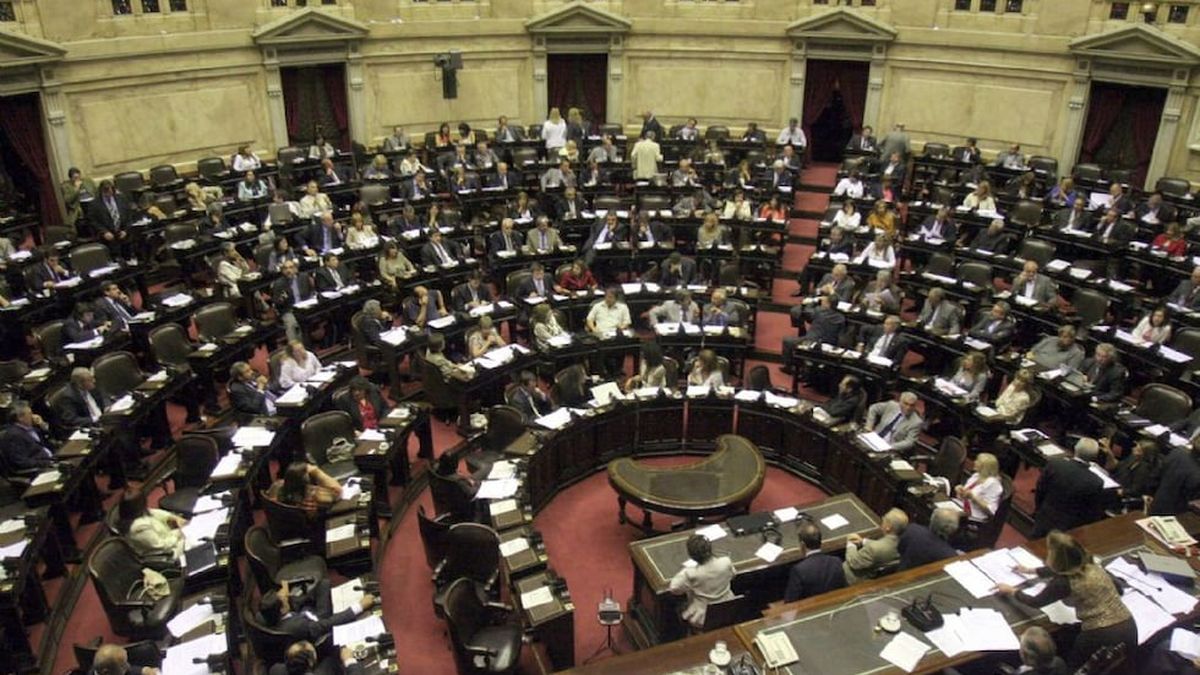 Las leyes que marcaron el año legislativo en el Congreso