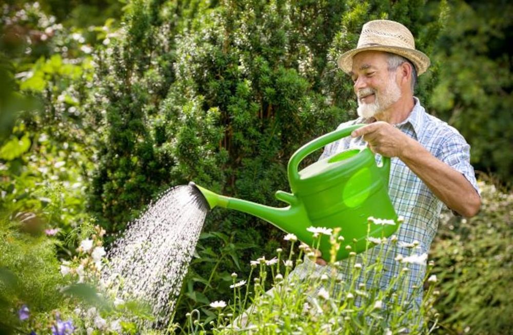 Los mejores libros y podcast “eco” para quienes buscan un vínculo más ...