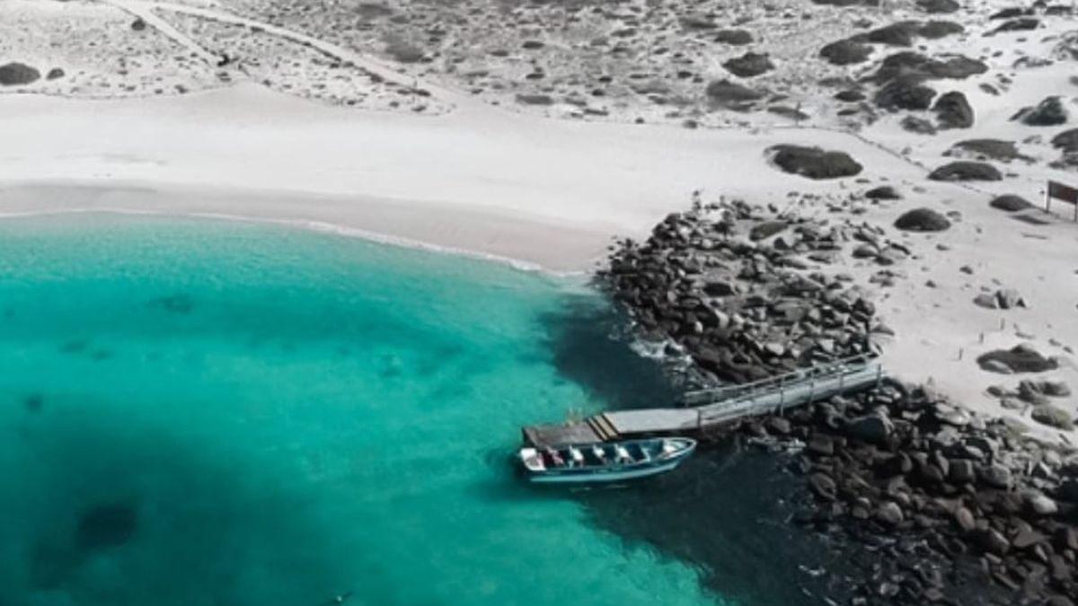 Isla Damas, un paraíso chileno a 110 kilómetros de La Serena y que ...