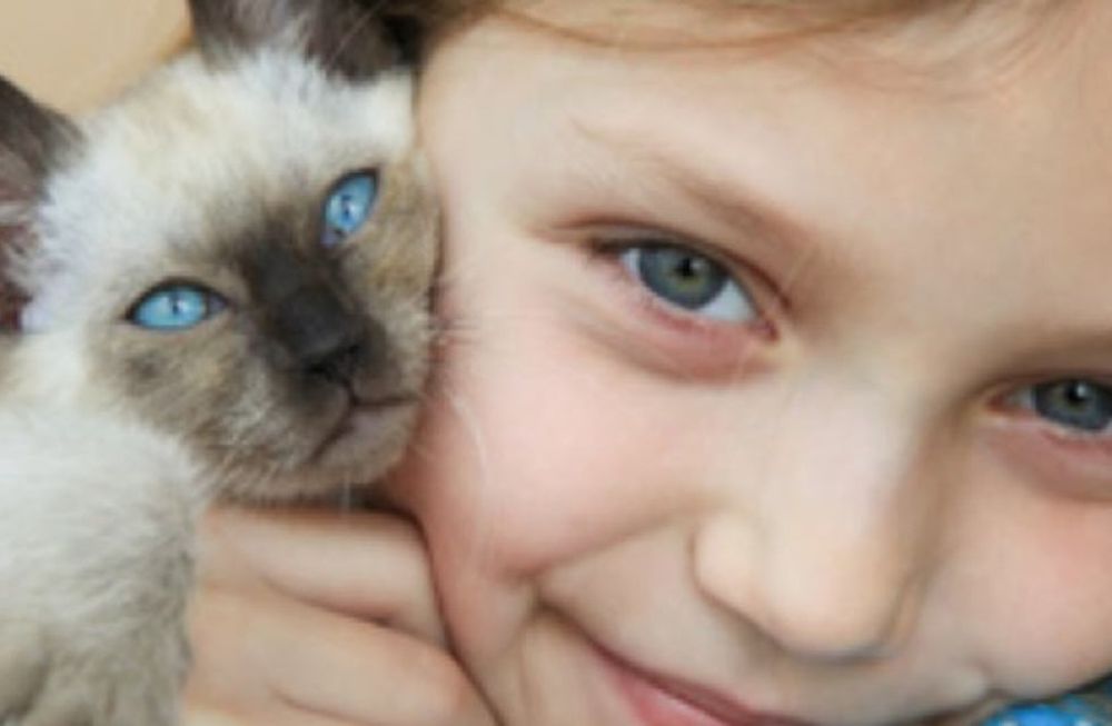 Qué es el Síndrome de Cri Du Chat y por qué tiene su día en mayo