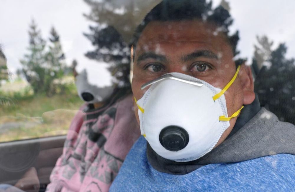 Hantavirus: según la Sociedad Argentina de Infectología, el brote en ...