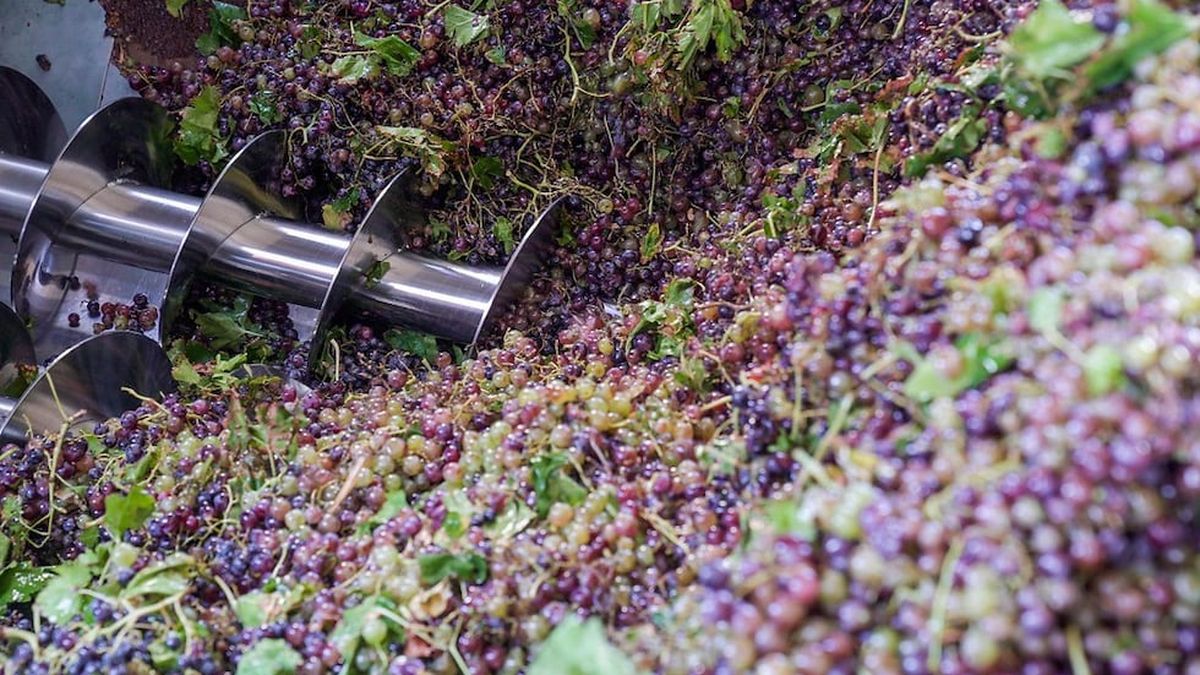 Una reconocida bodega fue multada por más de $5.000.000