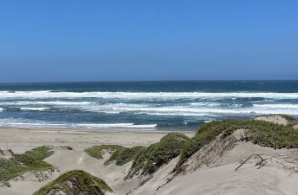 Ritoque, la tranquila playa de dunas y bosques ubicada a una hora de Reñaca