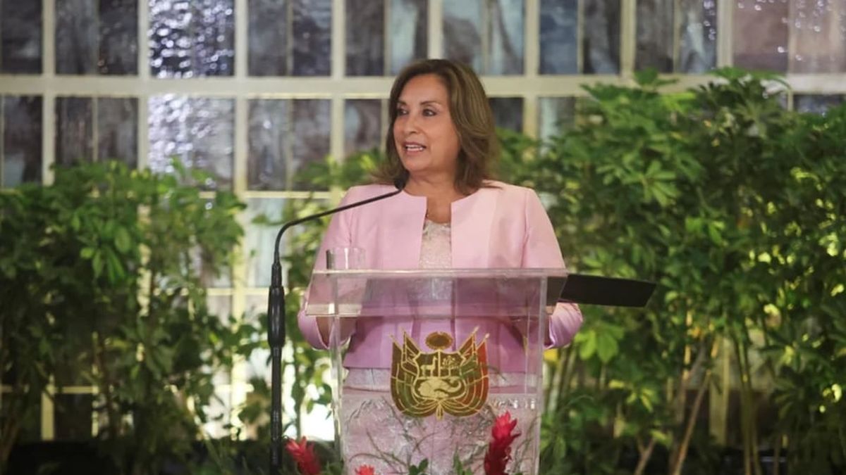 La presidenta de Perú dio explicaciones sobre los Rolex que usó en ...