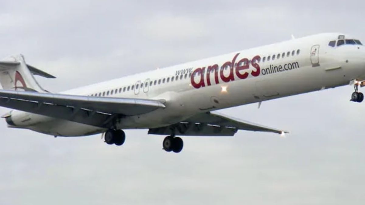 Autorizan a la aerolínea Andes a operar nuevamente en el país y ...