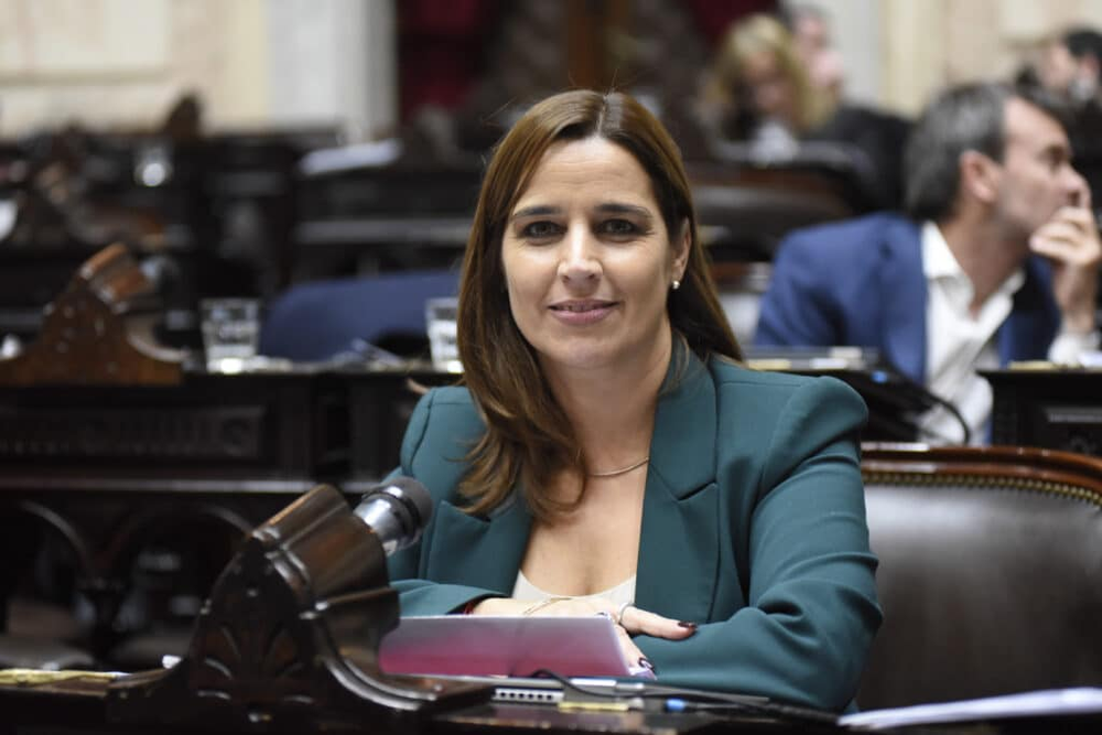 Sesión caliente en el Congreso: una diputada acusó a otro de caradura e ...