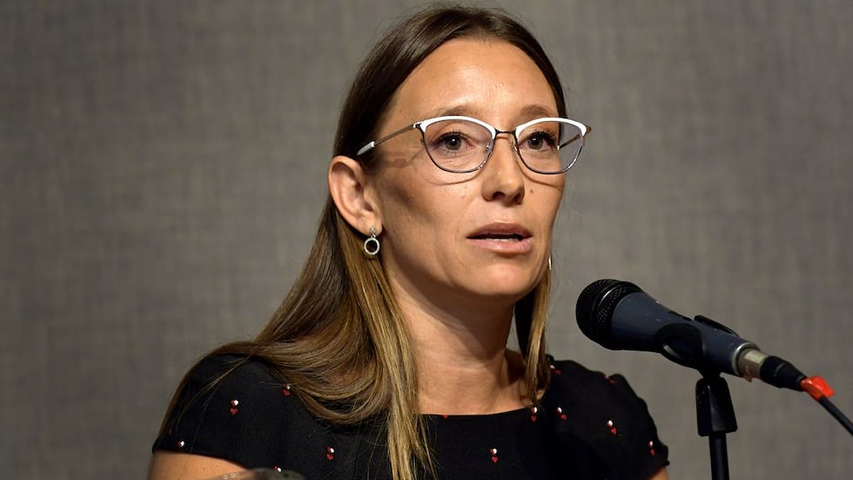 Efecto De Marchi: un senador del Pro cuestionó a la candidata a jueza ...