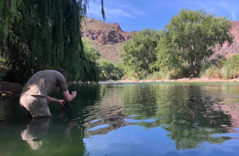 Un documental sobre el río Atuel será proyectado sobre el paredón del ...