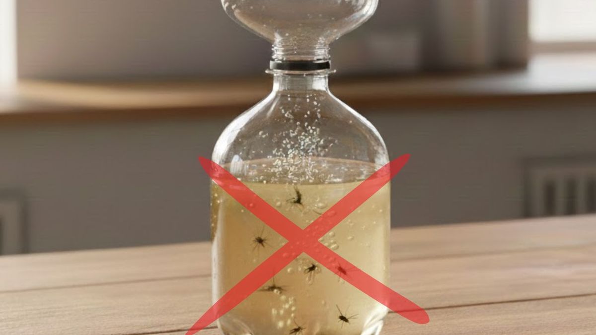 Chau mosquitos: mezclá estos dos ingredientes de tu cocina y creá la ...