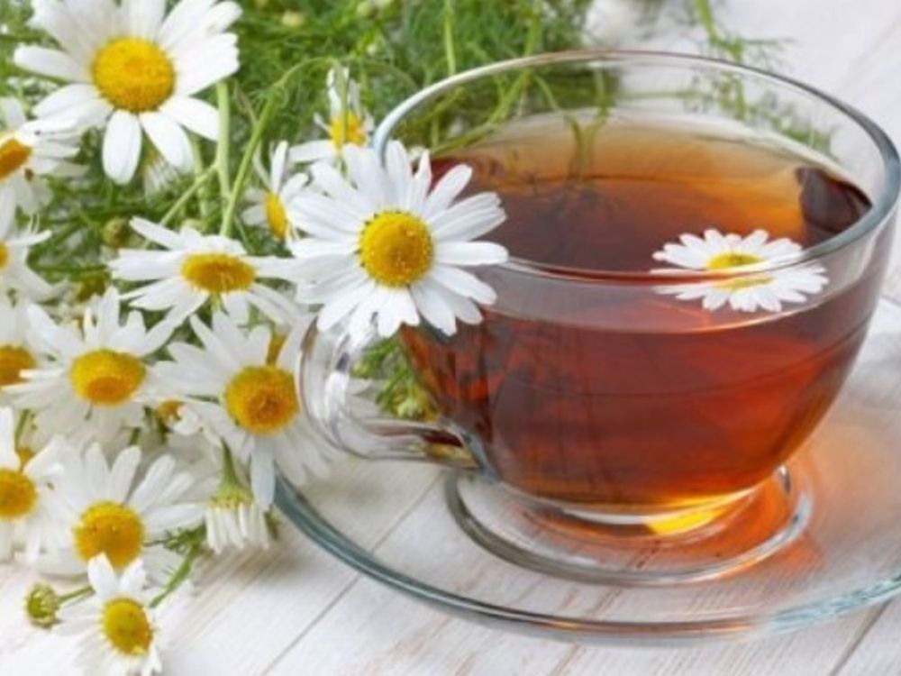 La hierba que es clave contra los dolores estomacales y colabora a ...