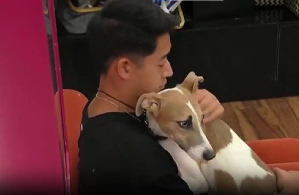 Martín Ku no lo puede creer: esto harán con Arturo tras su mal ...