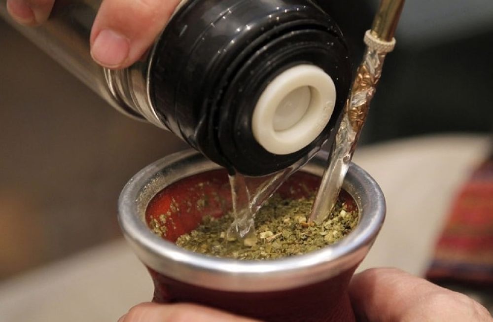 Nace la primera Escuela Argentina de Yerba Mate: formación ...