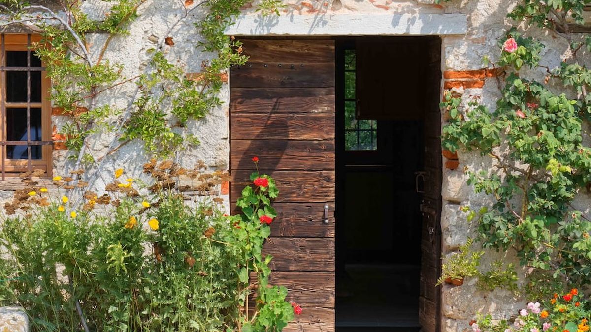 ¡Alerta roedores! Por qué tenés que podar ya las enredaderas de tu jardín